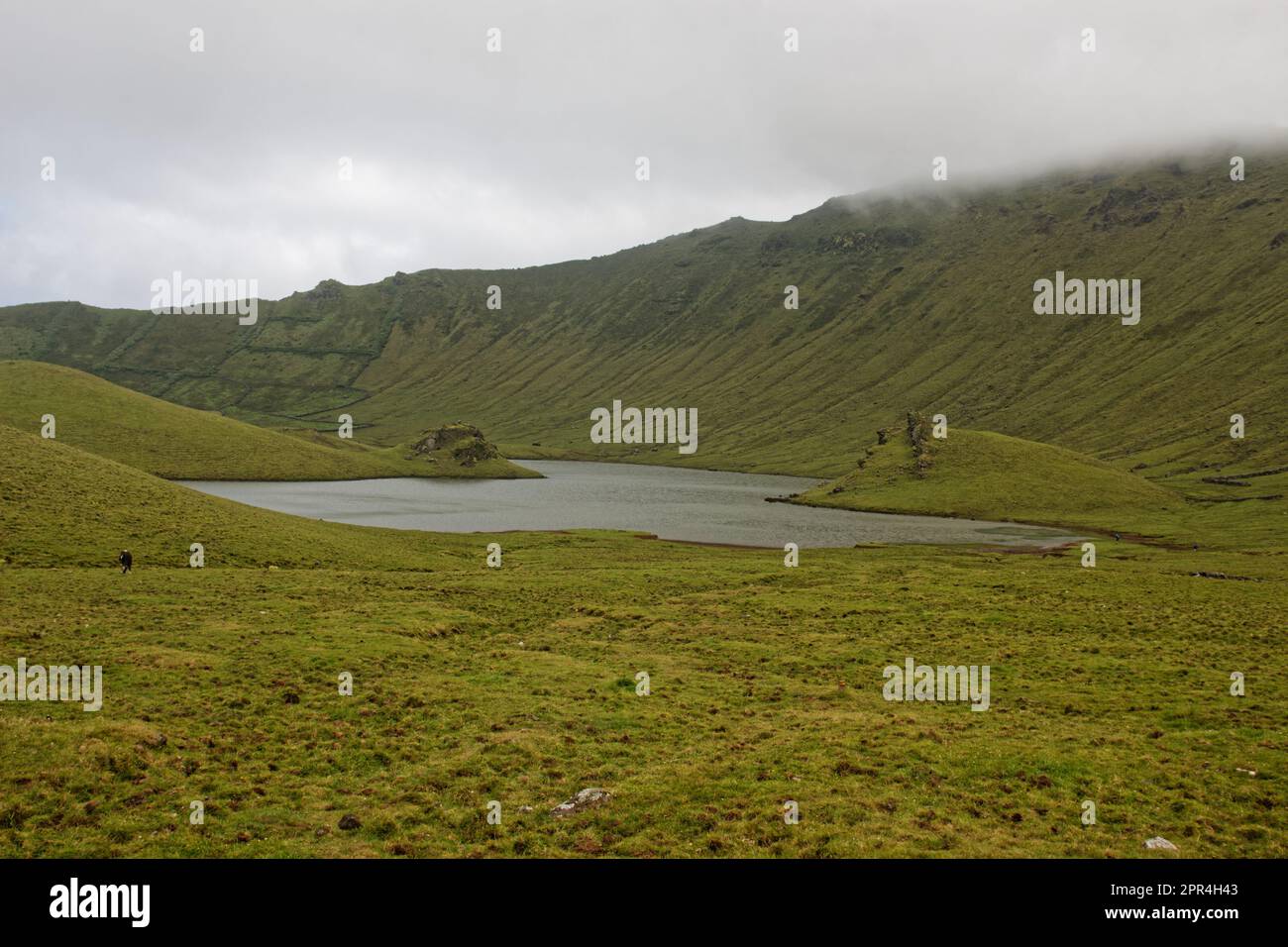 A panoramic view inside Caldeirão, the volcanic caldera of Corvo island ...