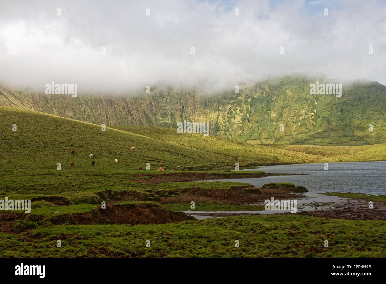 A panoramic view inside Caldeirão, the volcanic caldera of Corvo island ...