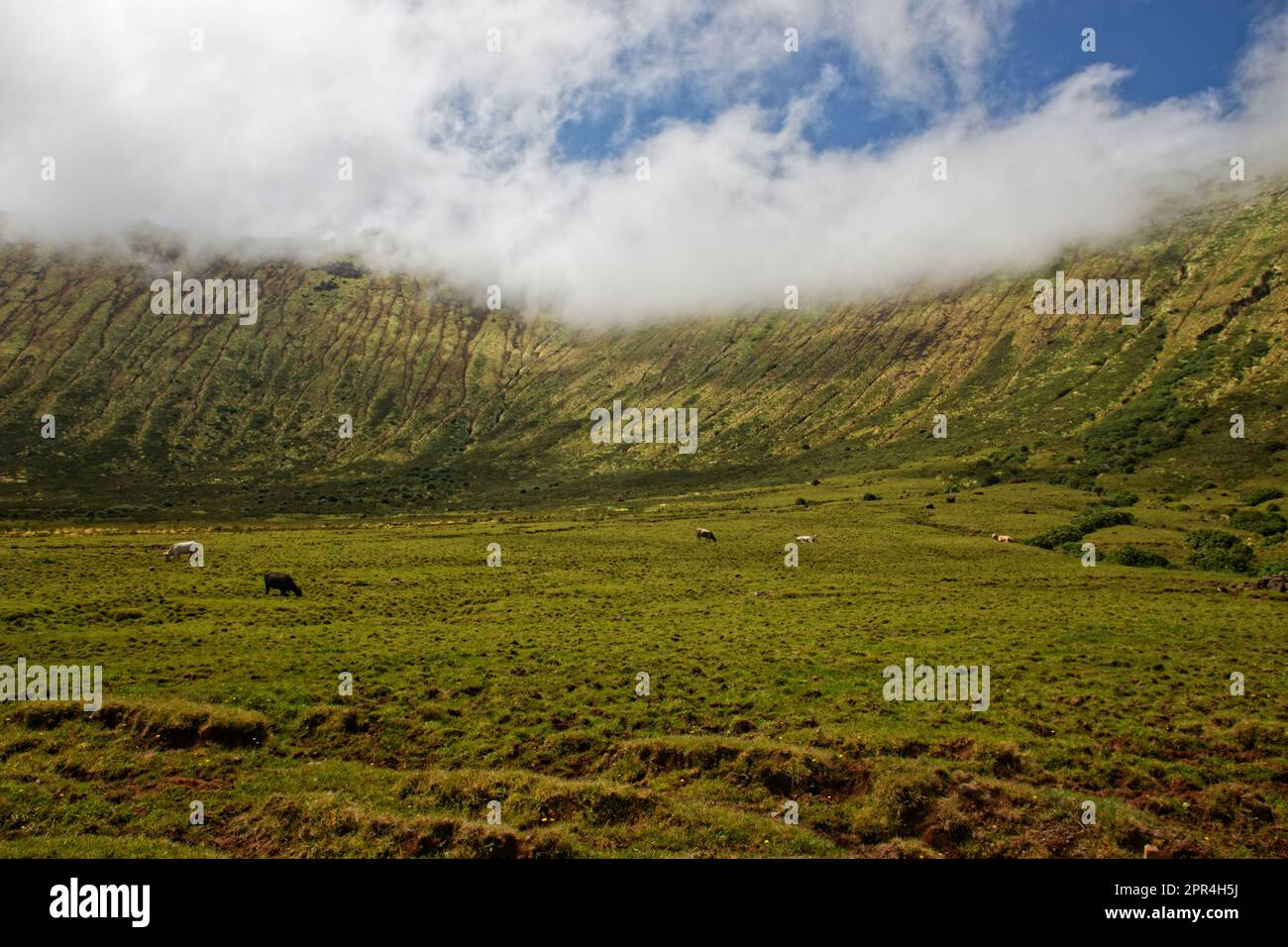 A panoramic view inside Caldeirão, the volcanic caldera of Corvo island ...
