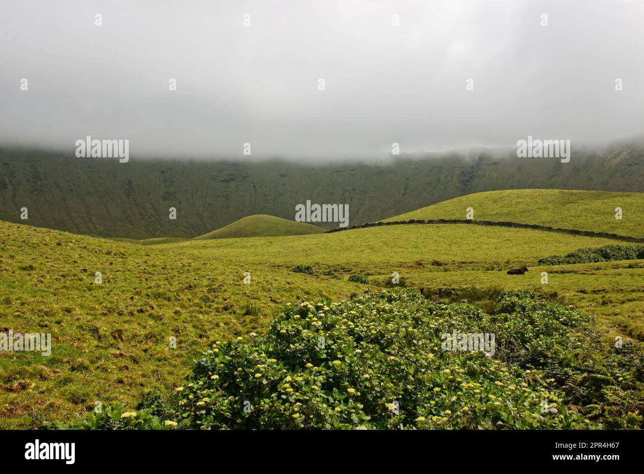 A panoramic view inside Caldeirão, the volcanic caldera of Corvo island ...