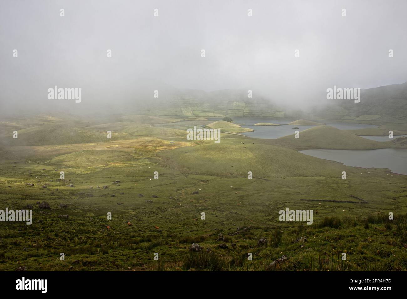 A panoramic view inside Caldeirão, the volcanic caldera of Corvo island ...