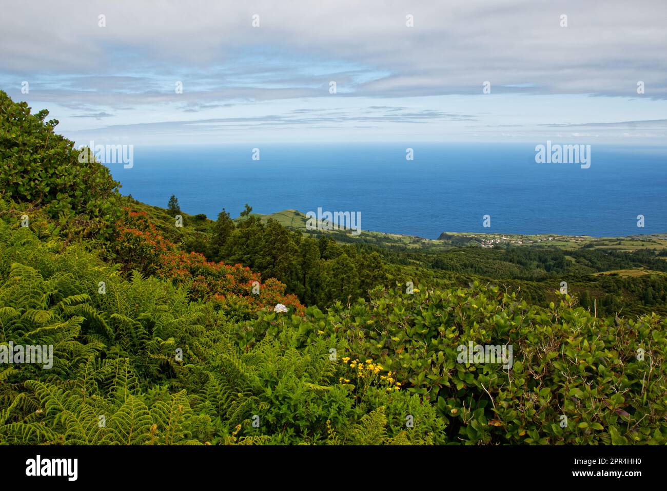 Caldeira de faial hi-res stock photography and images - Alamy