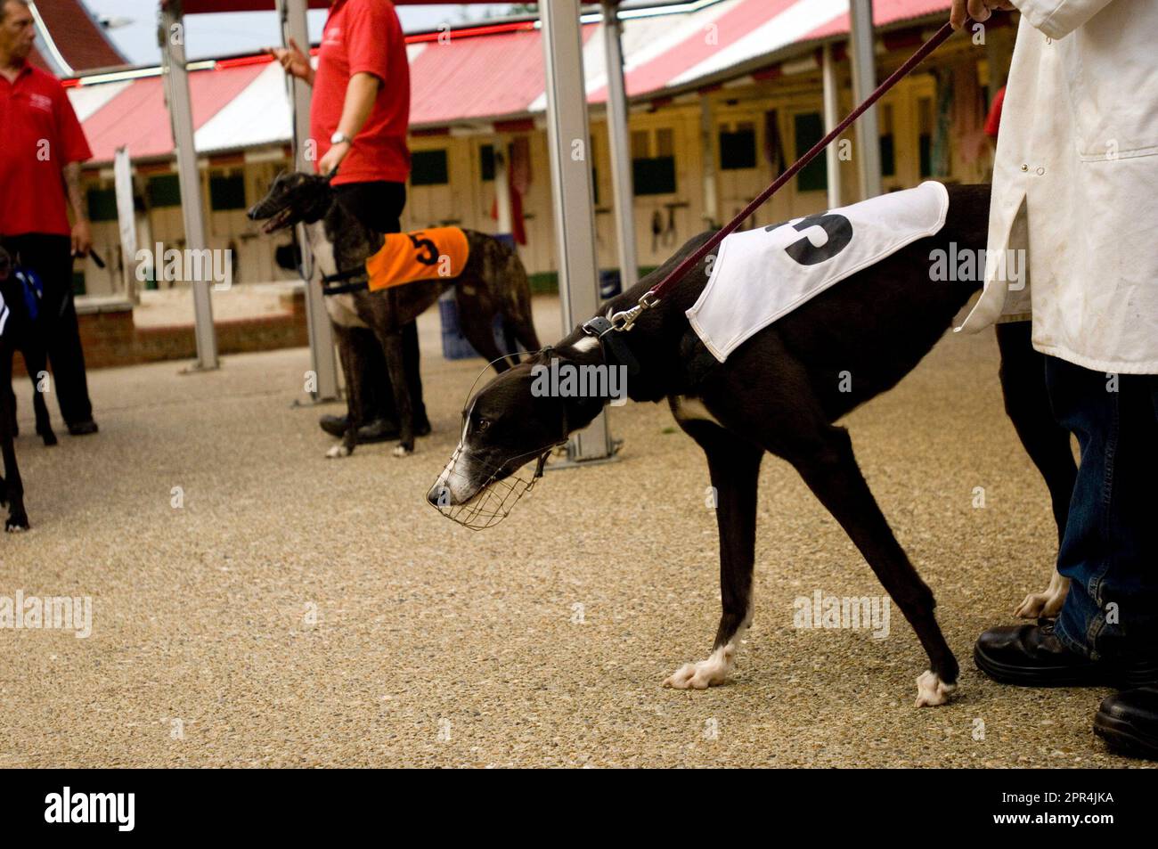 Walthamstow greyhound stadium hi-res stock photography and images - Alamy