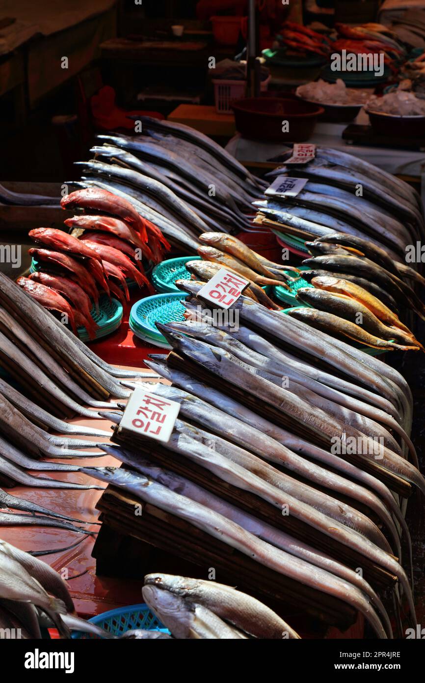 Beltfish In Korean at Timothy Samons blog