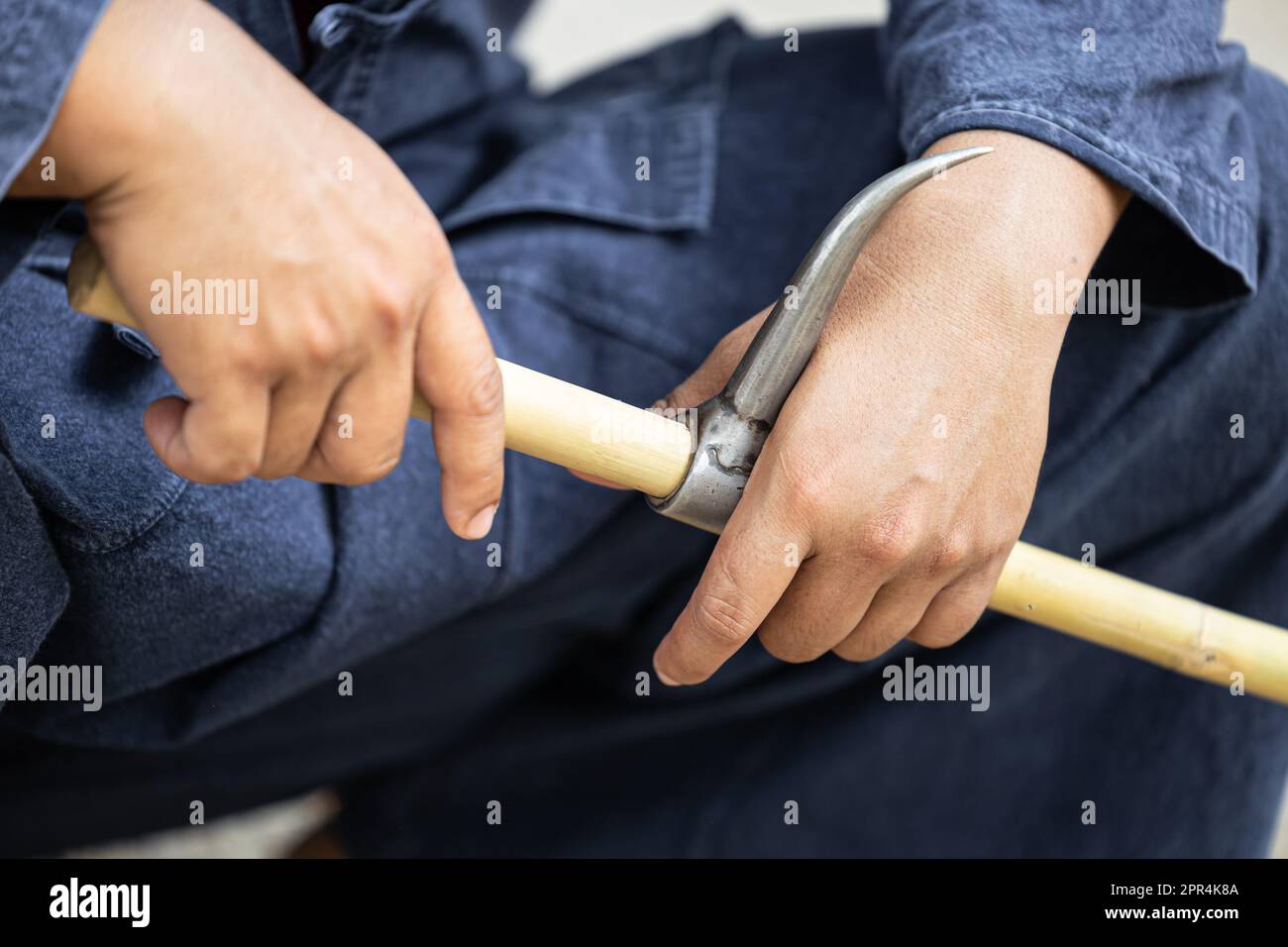 Elephant trainer or Mahout with Bull Hook Ankus tool for control order ...