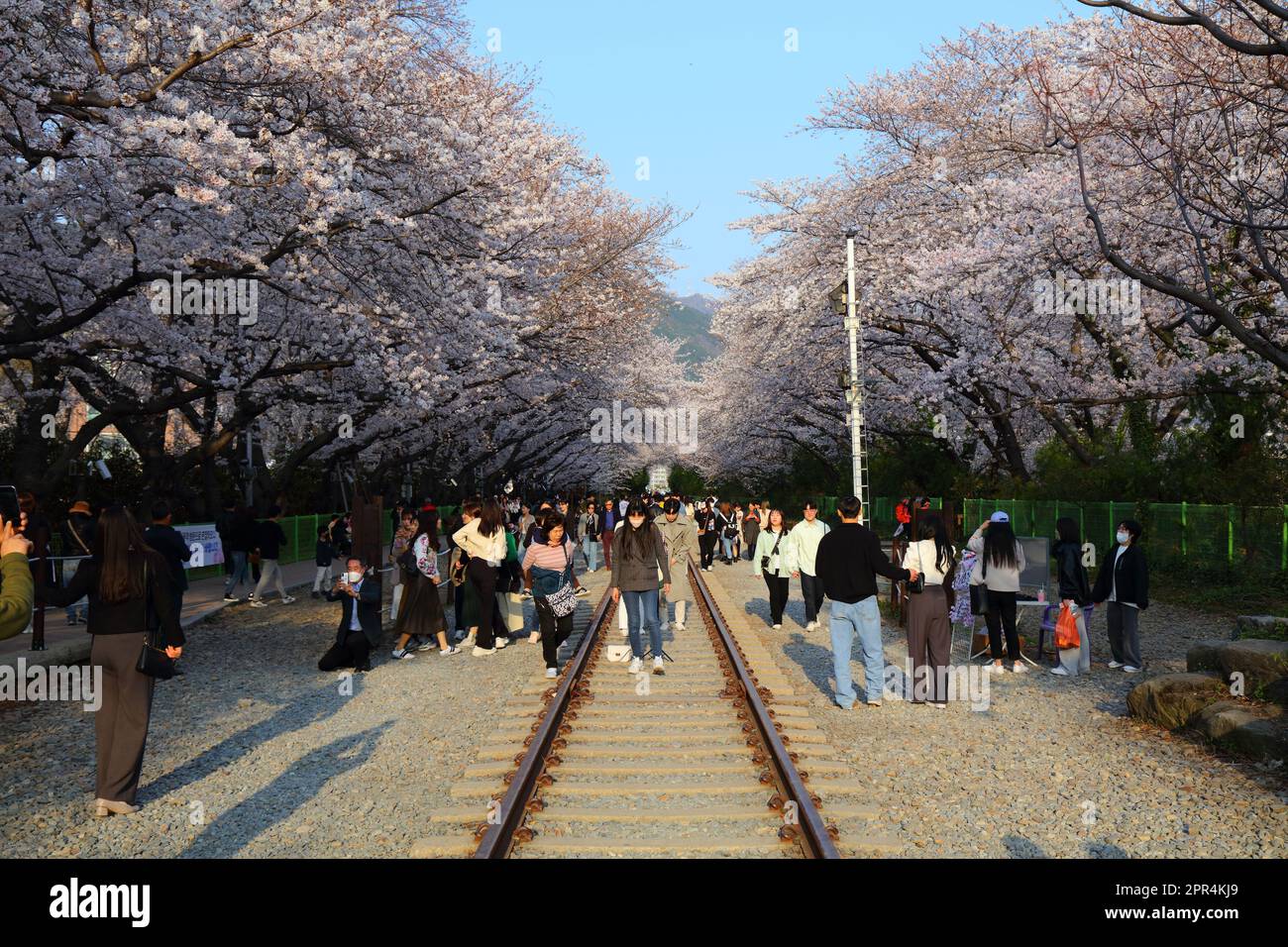 JINHAE, SOUTH KOREA - MARCH 28, 2023: People visit Gyeonghwa Station ...