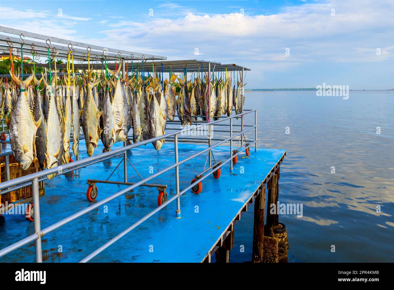 Malaysia dried fish hi-res stock photography and images - Alamy