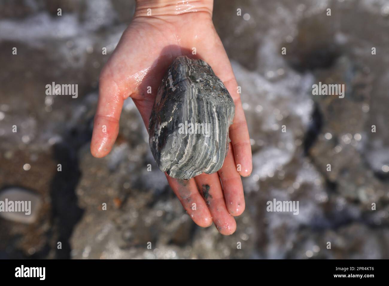 Dead Sea mud in Israel. Dead Sea mud handful. It has medicinal ...