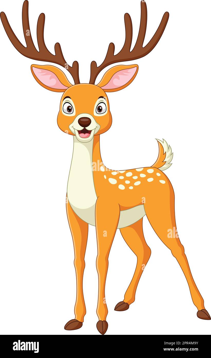 Cartoon funny deer on white background Stock Vector Image & Art - Alamy