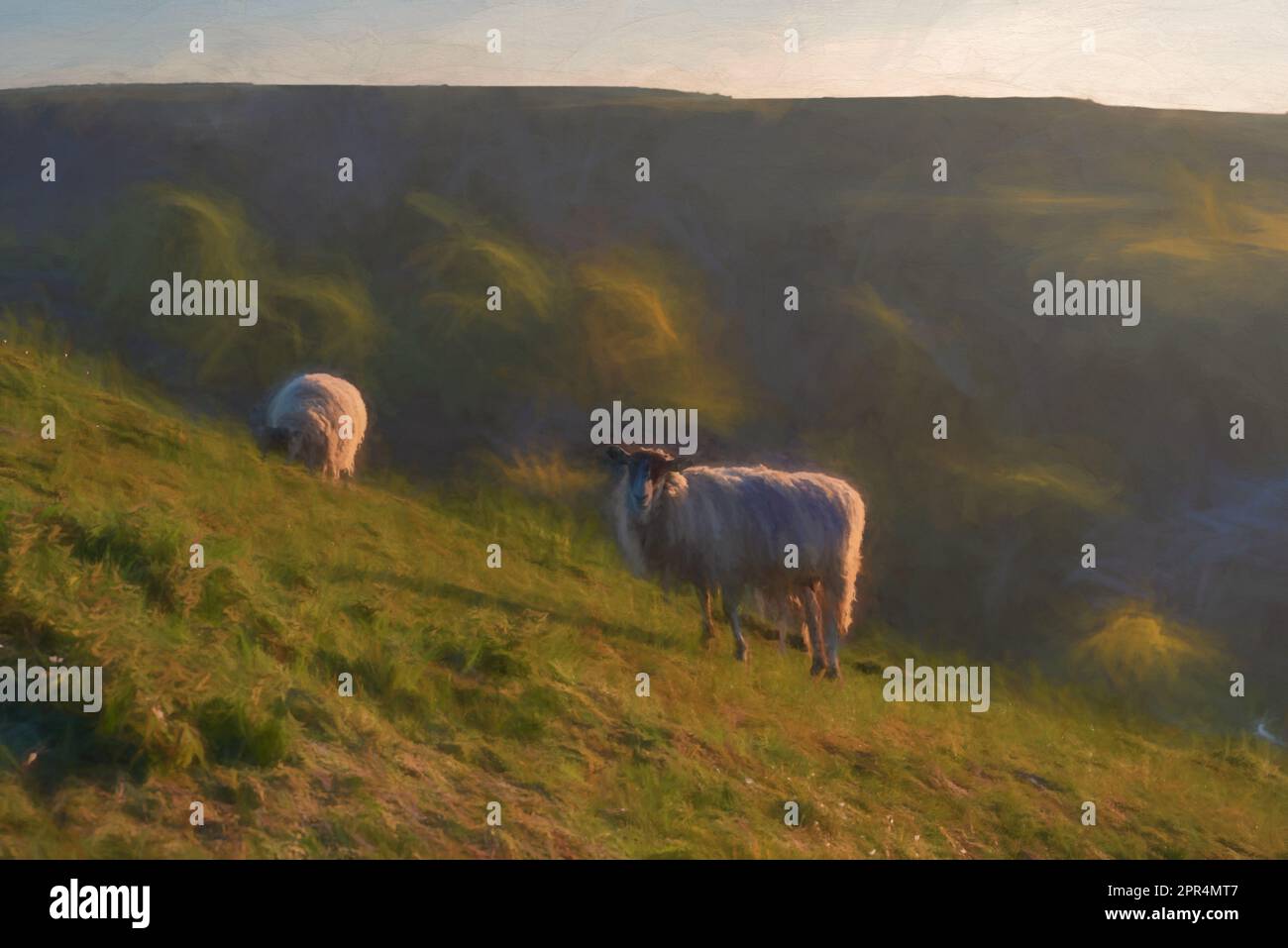 Digital painting of sheep grazing on Parkhouse Hill, and Chrome Hill at ...
