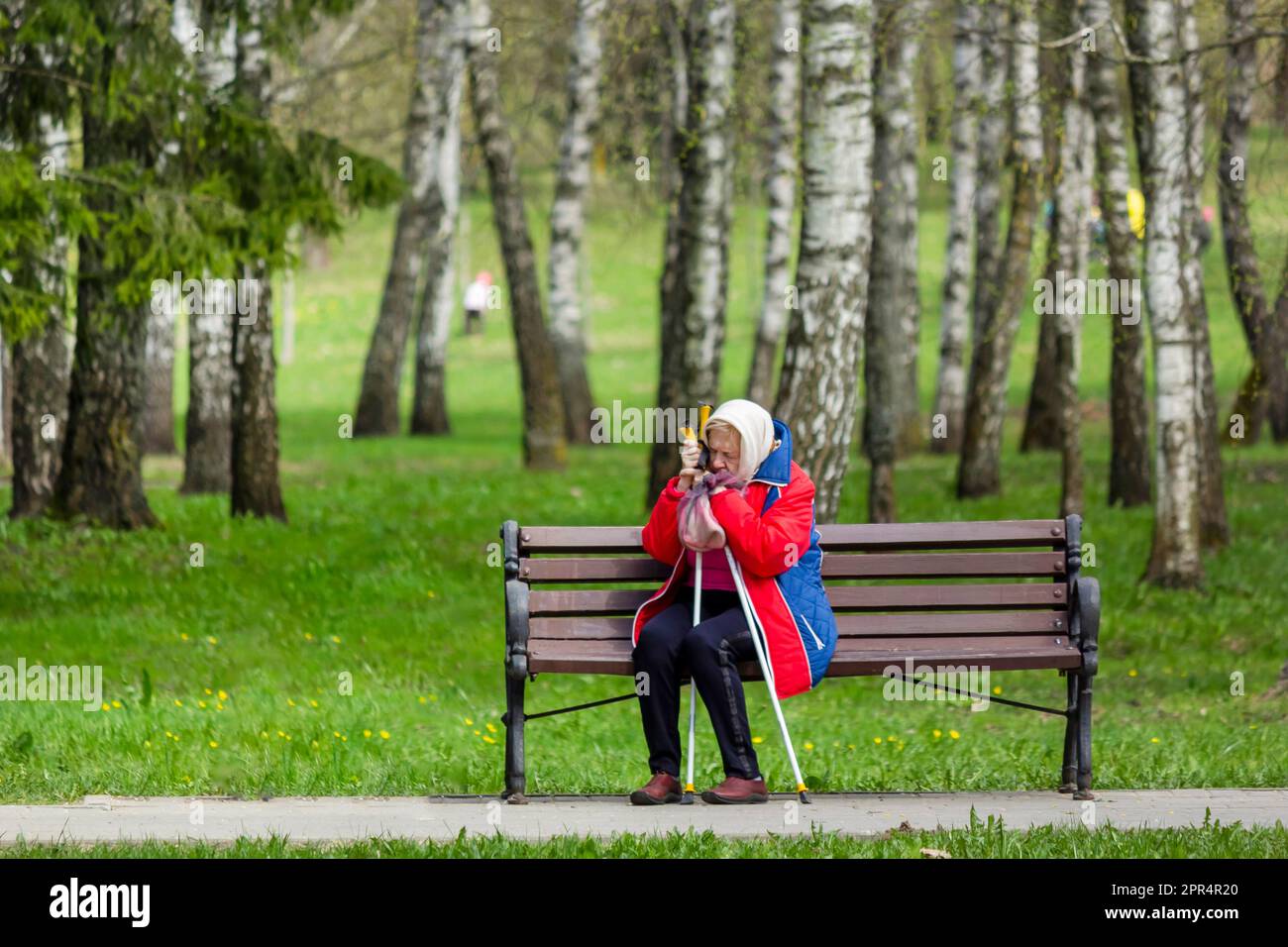 An elderly woman is tired and sleeps sitting on a bench in a spring ...