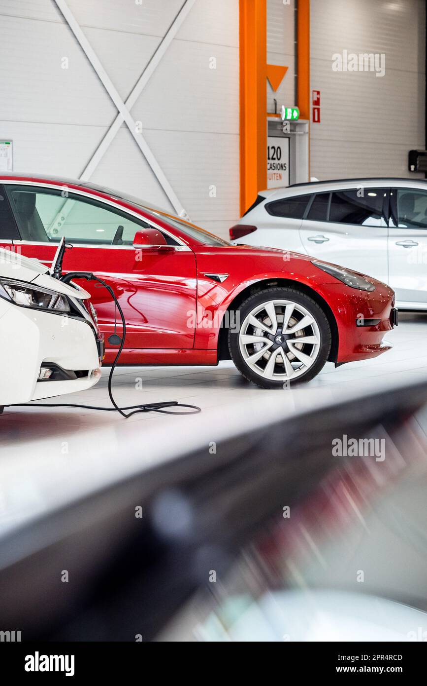 VEGHEL - Second-hand electric cars in a Leaseplan showroom. To ensure ...