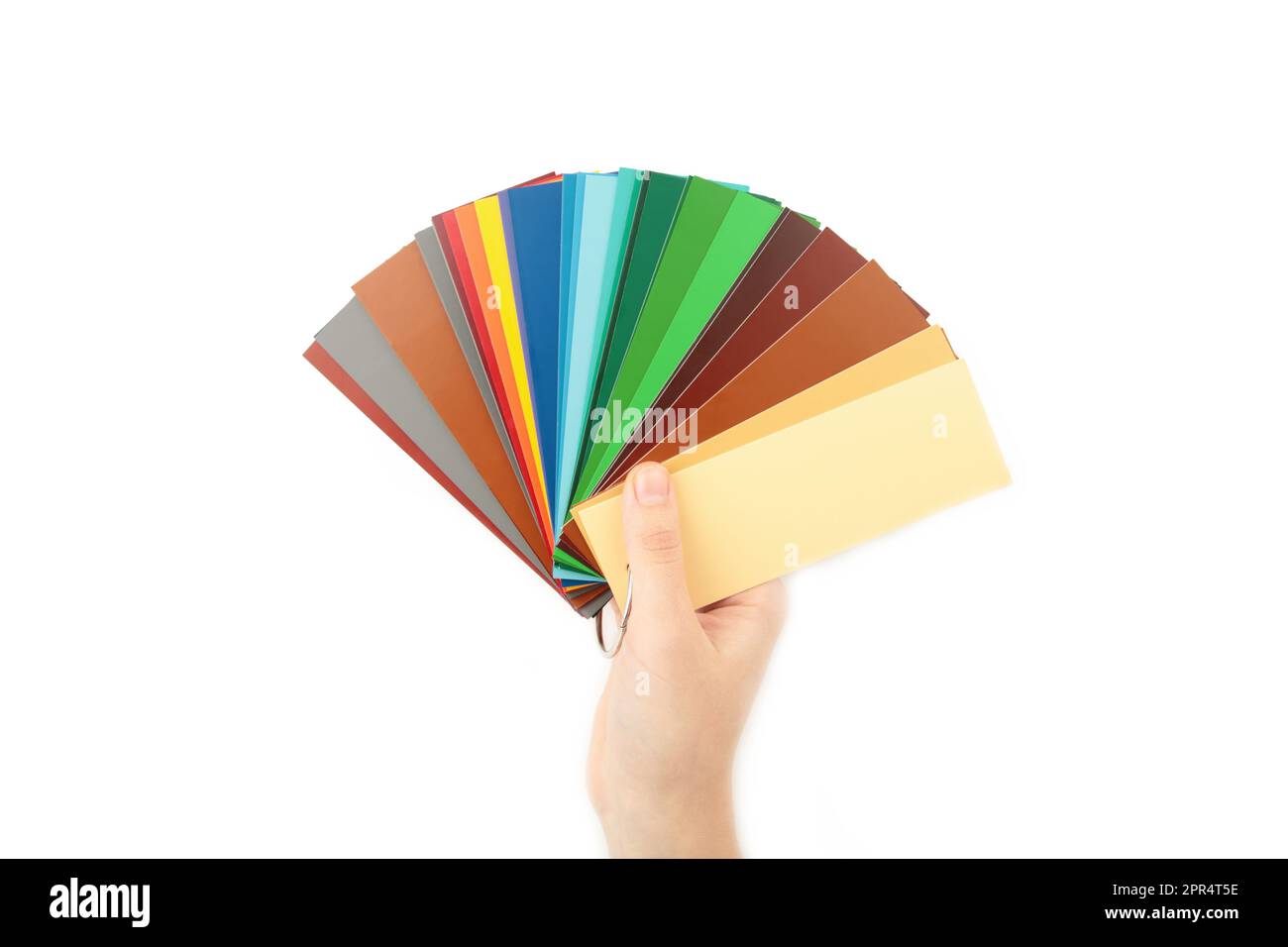 Colors range palette on hand isolated on white background. Top view ...