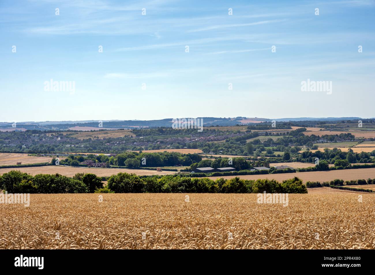 View of cereal fields in Wiltshire on a summer afternoon, England Stock ...