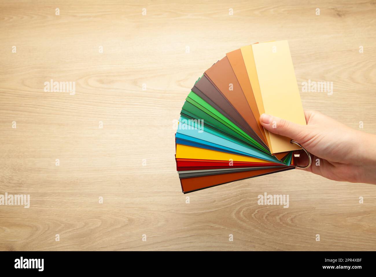 Female hand holding color trend palette. Top view Stock Photo - Alamy