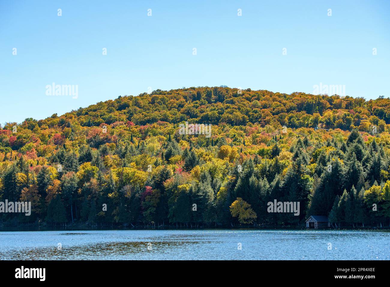 This is a collection of photos showing the beautiful colors of erables ...