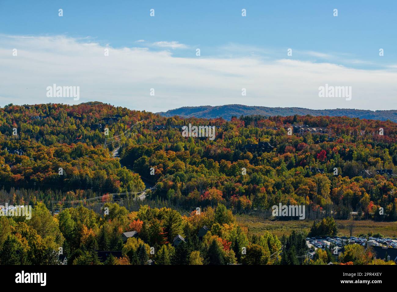 This is a collection of photos showing the beautiful colors of erables ...