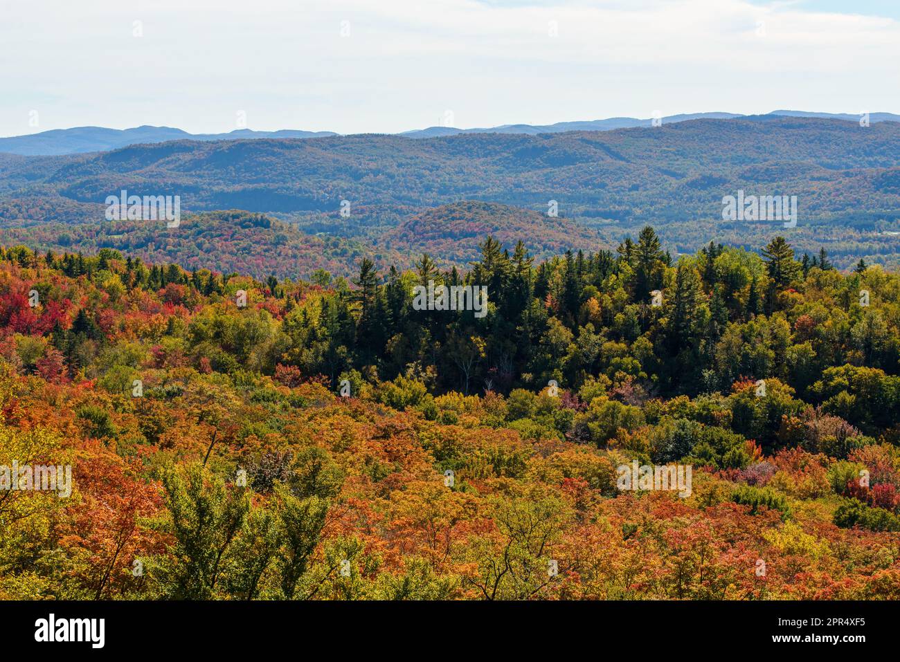 This is a collection of photos showing the beautiful colors of erables ...