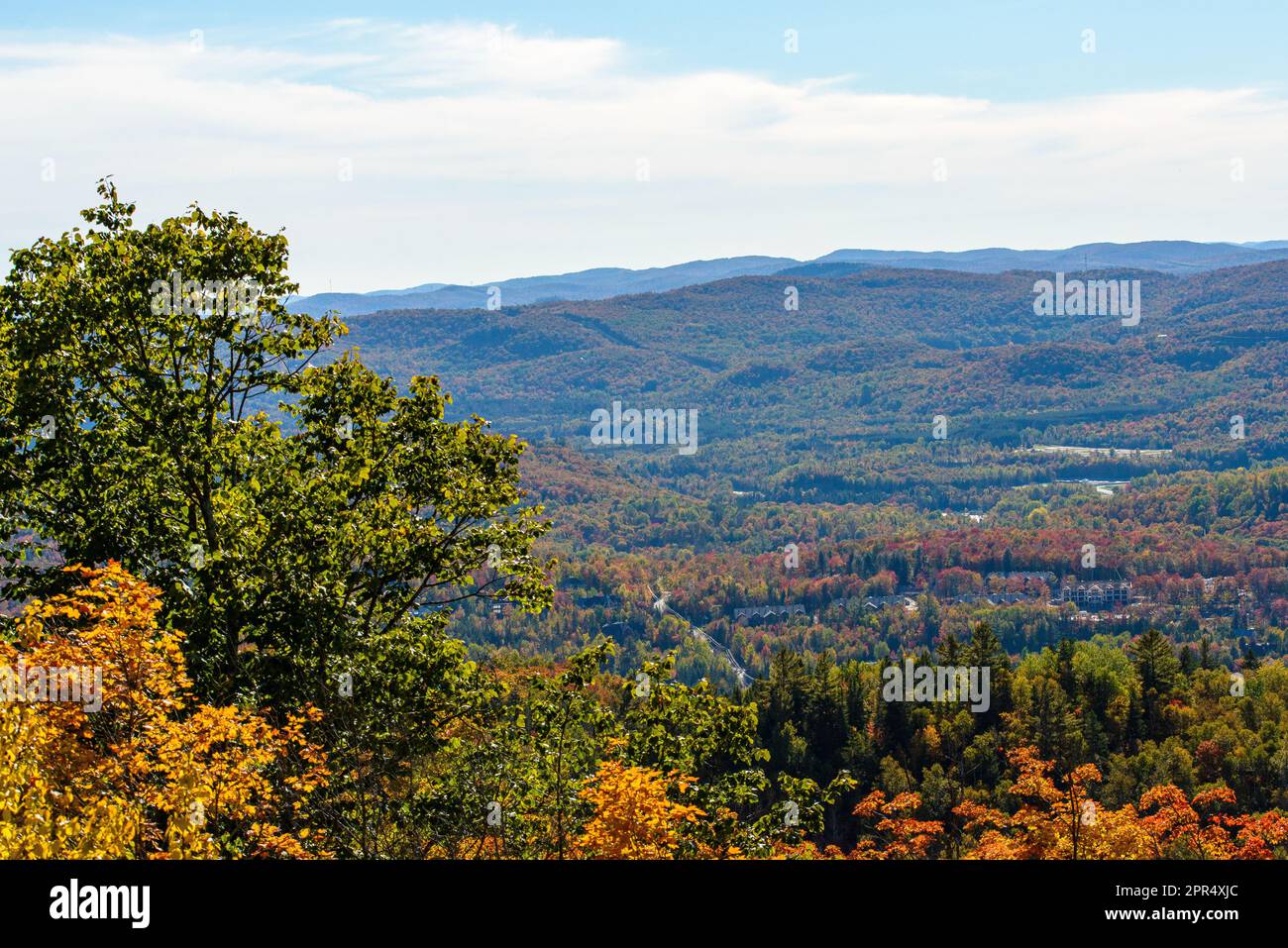 This is a collection of photos showing the beautiful colors of erables ...