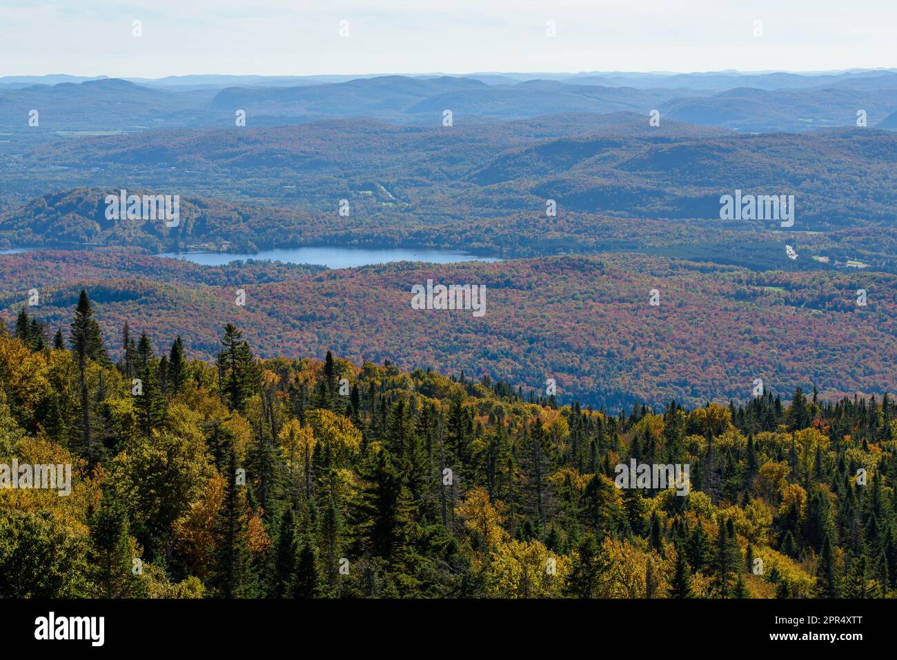 This is a collection of photos showing the beautiful colors of erables ...