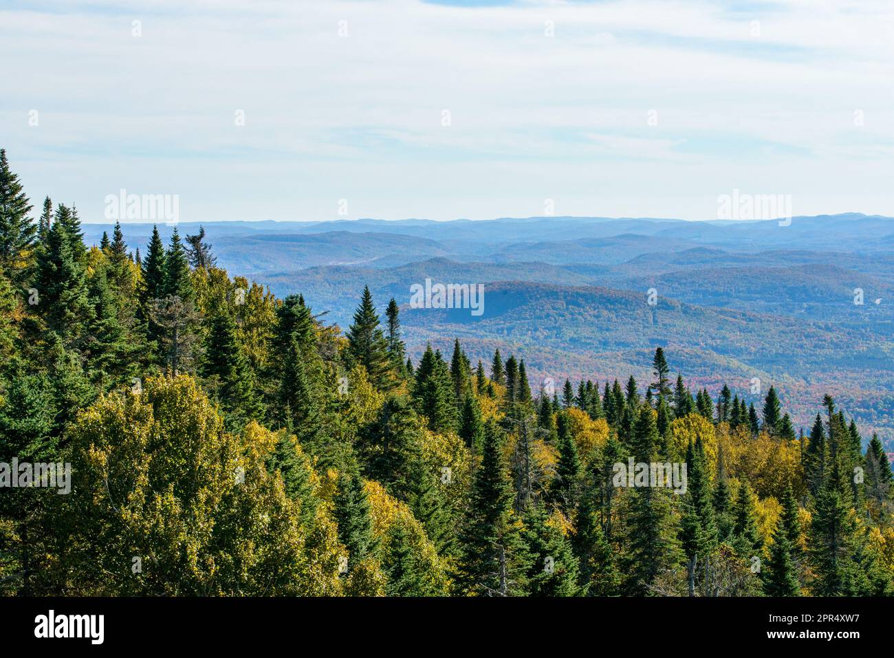 This is a collection of photos showing the beautiful colors of erables ...