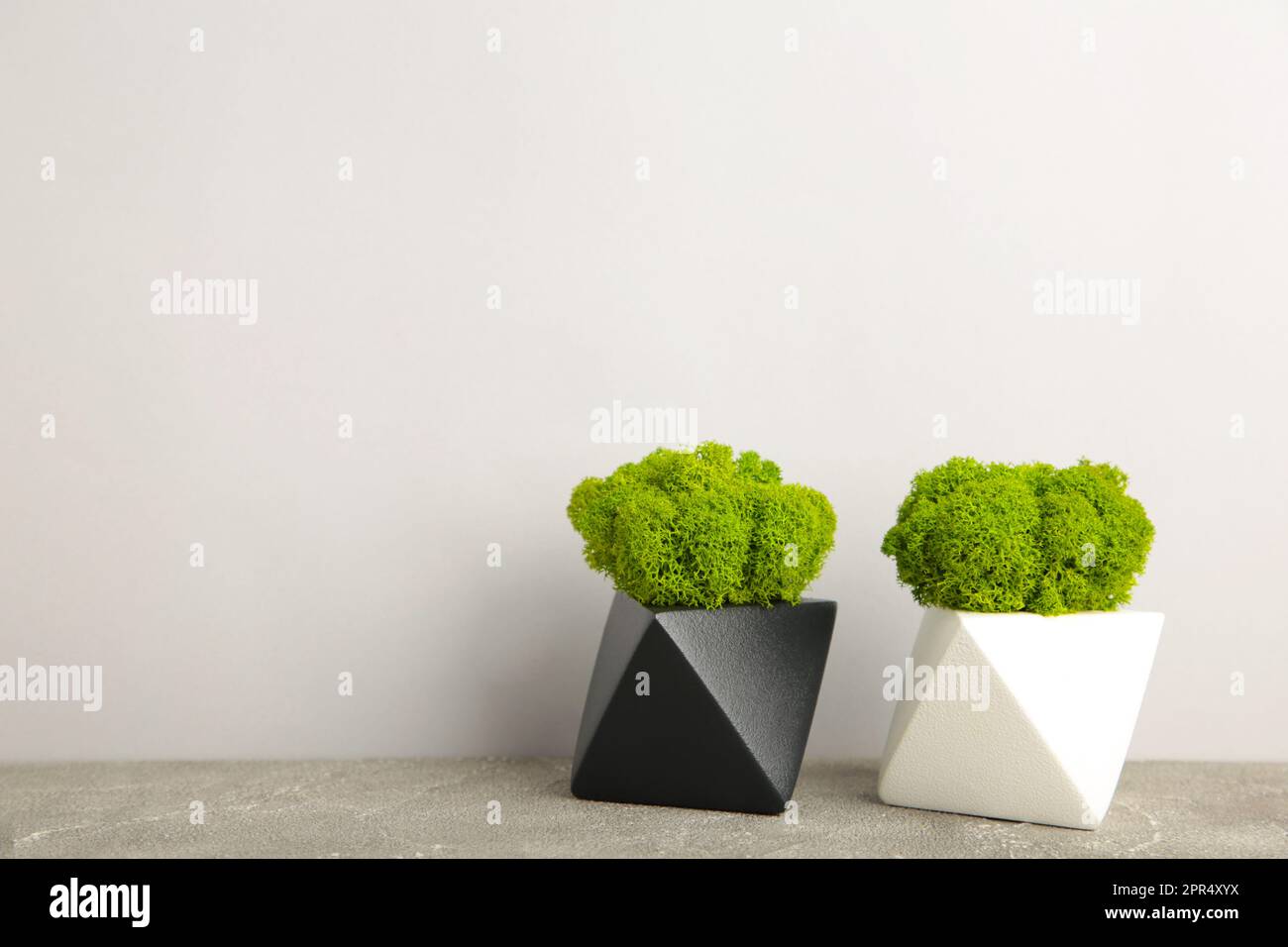 Stabilized moss in the pots on grey. Eco design interior. Green moss ...