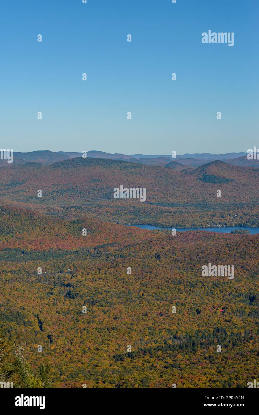 This is a collection of photos showing the beautiful colors of erables ...