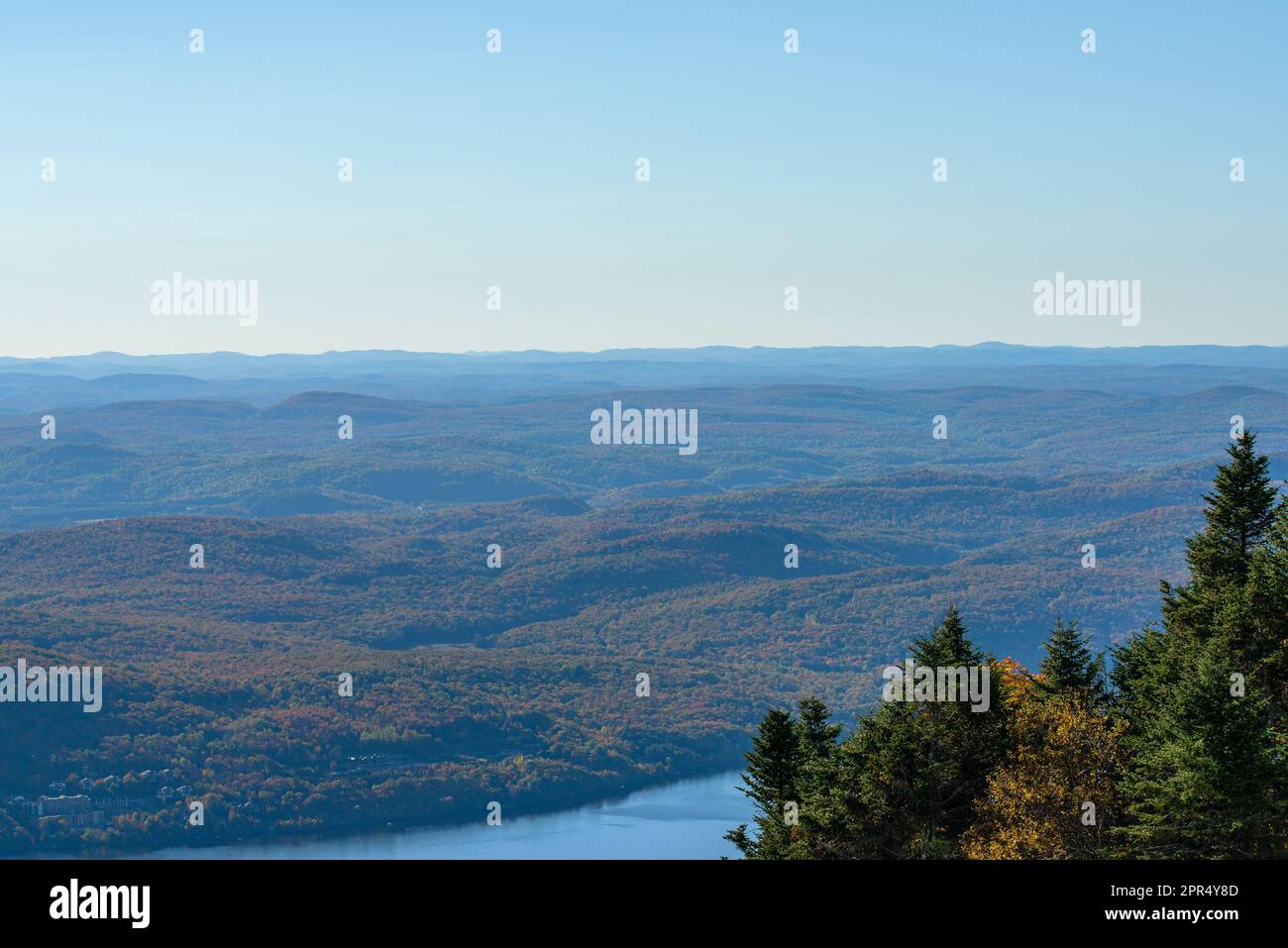 This is a collection of photos showing the beautiful colors of erables ...