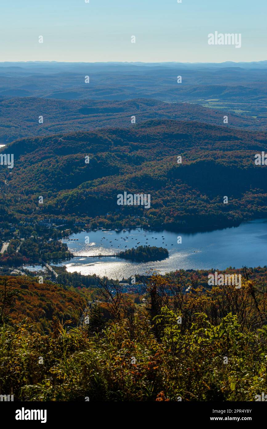 This is a collection of photos showing the beautiful colors of erables ...