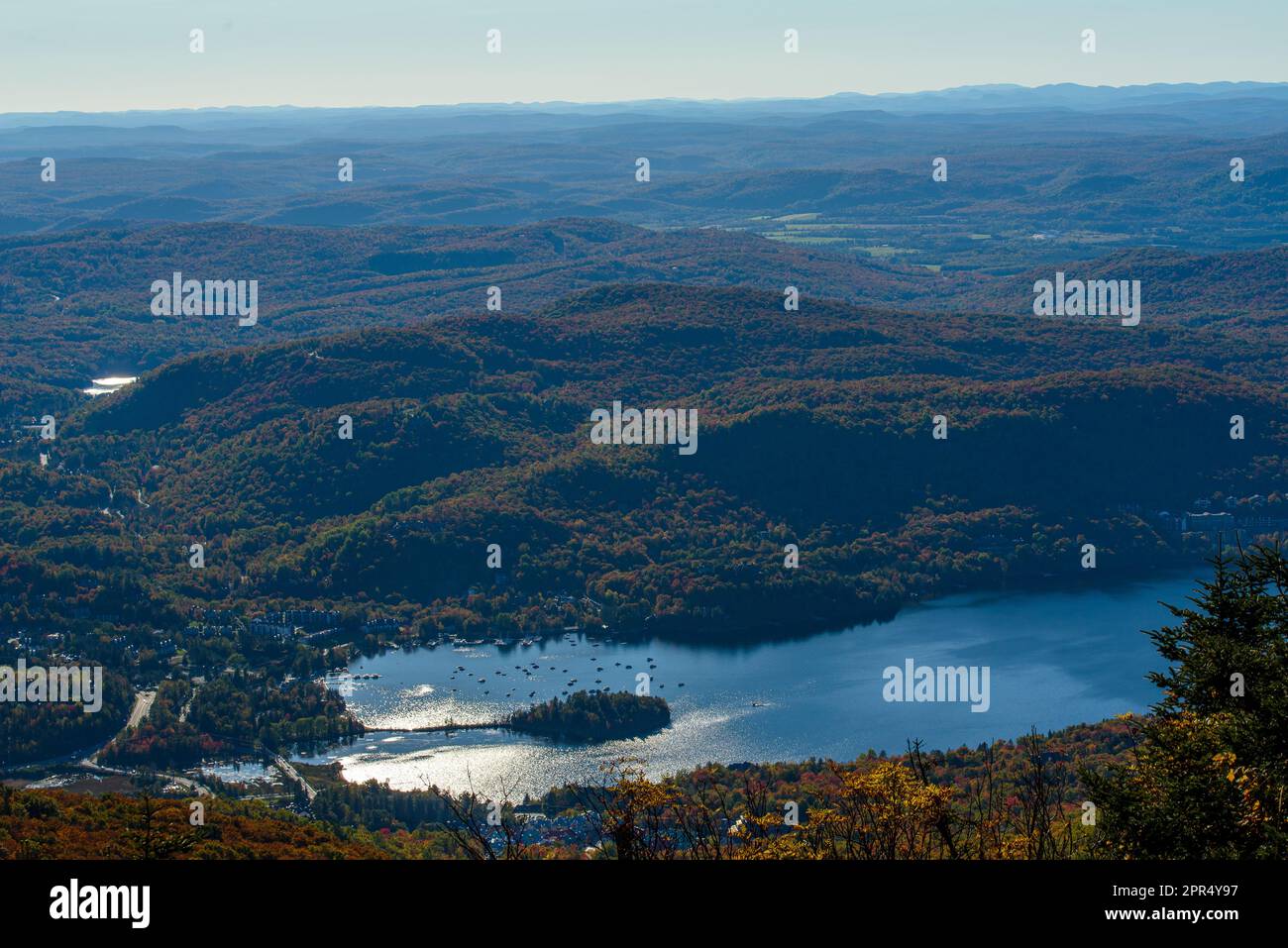 This is a collection of photos showing the beautiful colors of erables ...