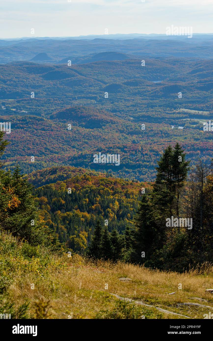 This is a collection of photos showing the beautiful colors of erables ...