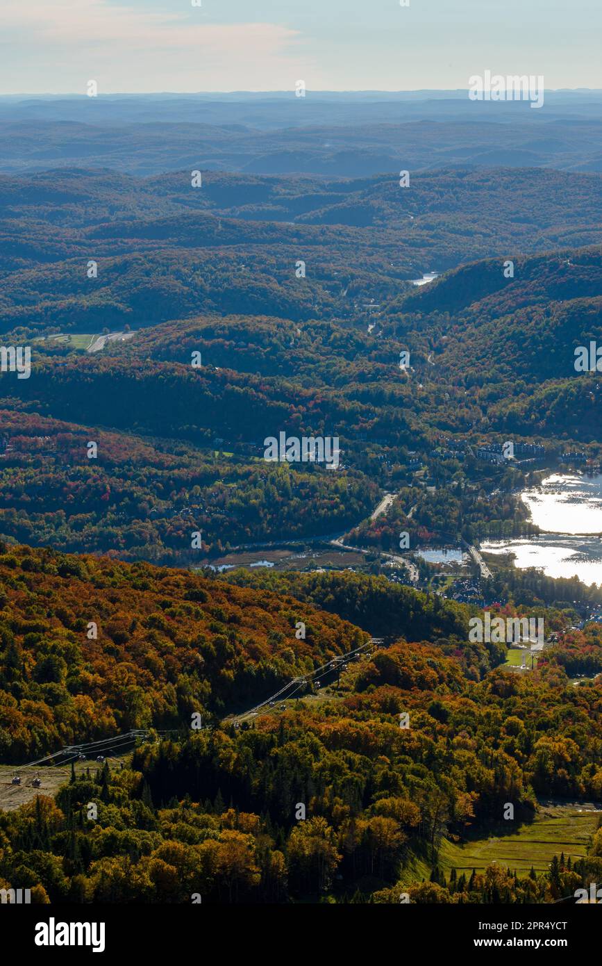 This is a collection of photos showing the beautiful colors of erables ...