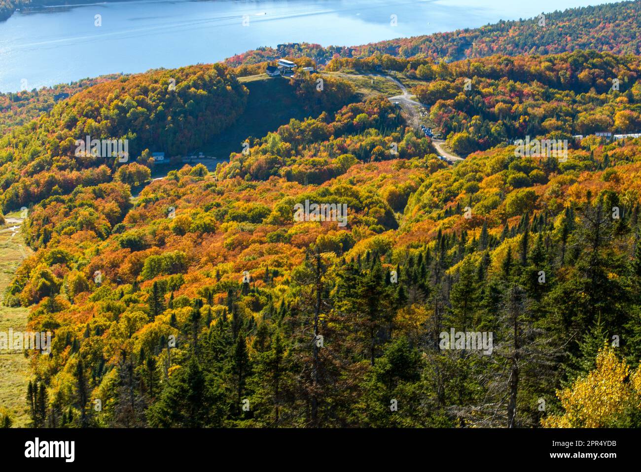 This is a collection of photos showing the beautiful colors of erables ...