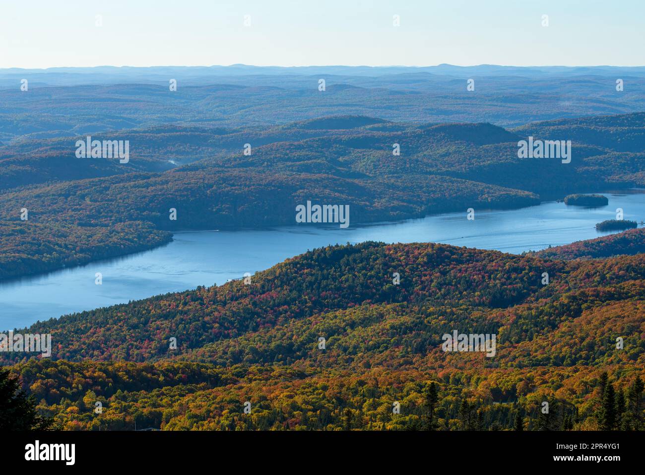 This is a collection of photos showing the beautiful colors of erables ...