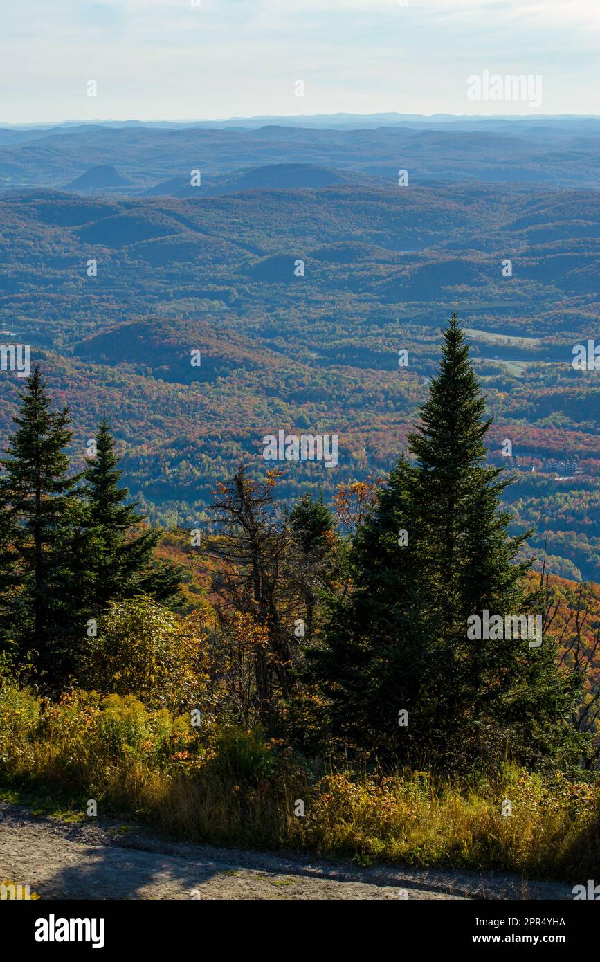 This is a collection of photos showing the beautiful colors of erables ...