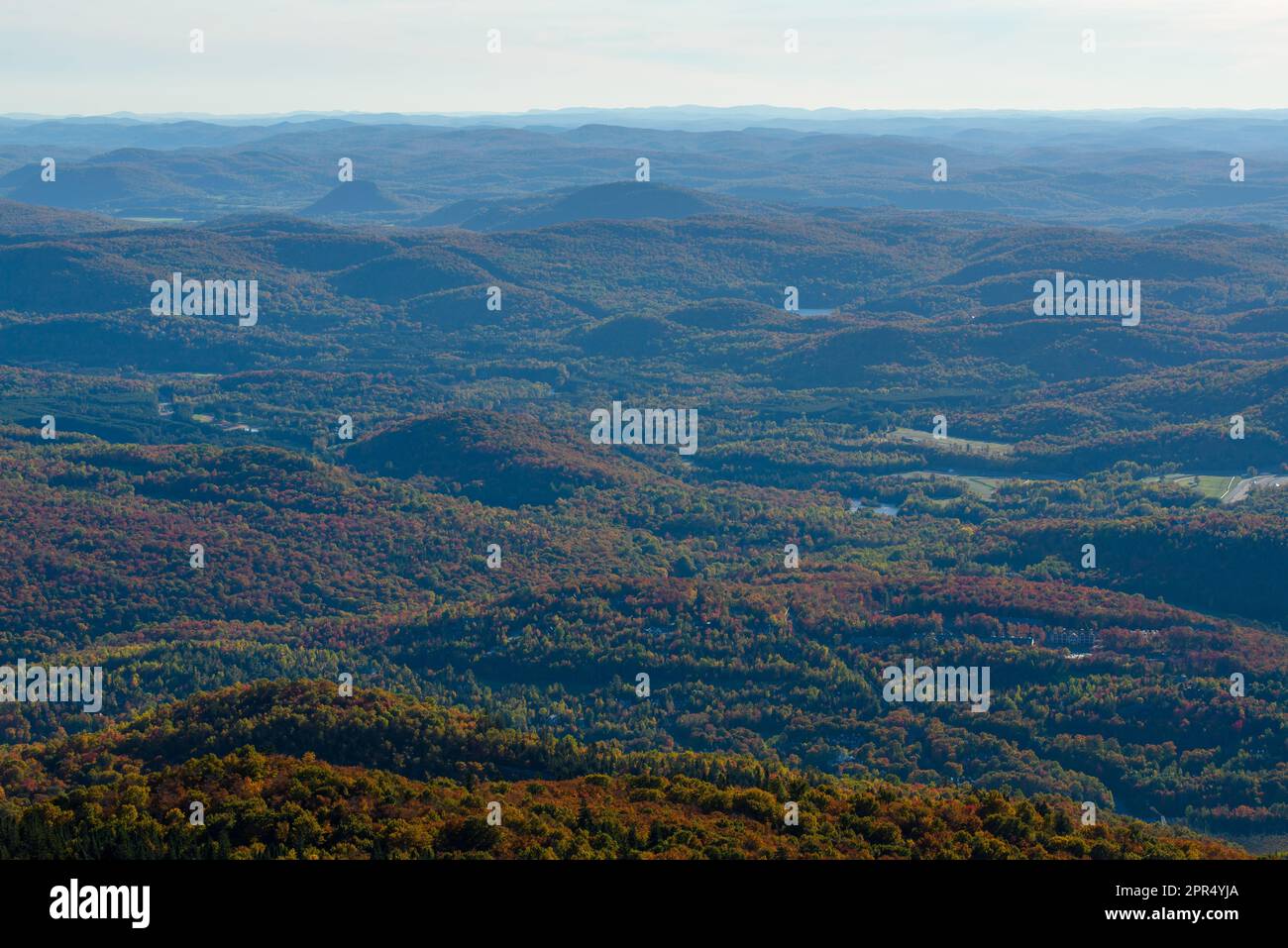 This is a collection of photos showing the beautiful colors of erables ...