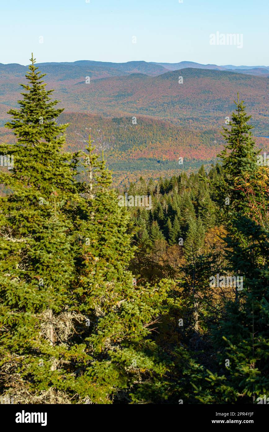 This is a collection of photos showing the beautiful colors of erables ...