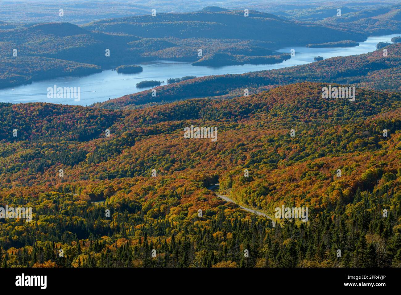 This is a collection of photos showing the beautiful colors of erables ...