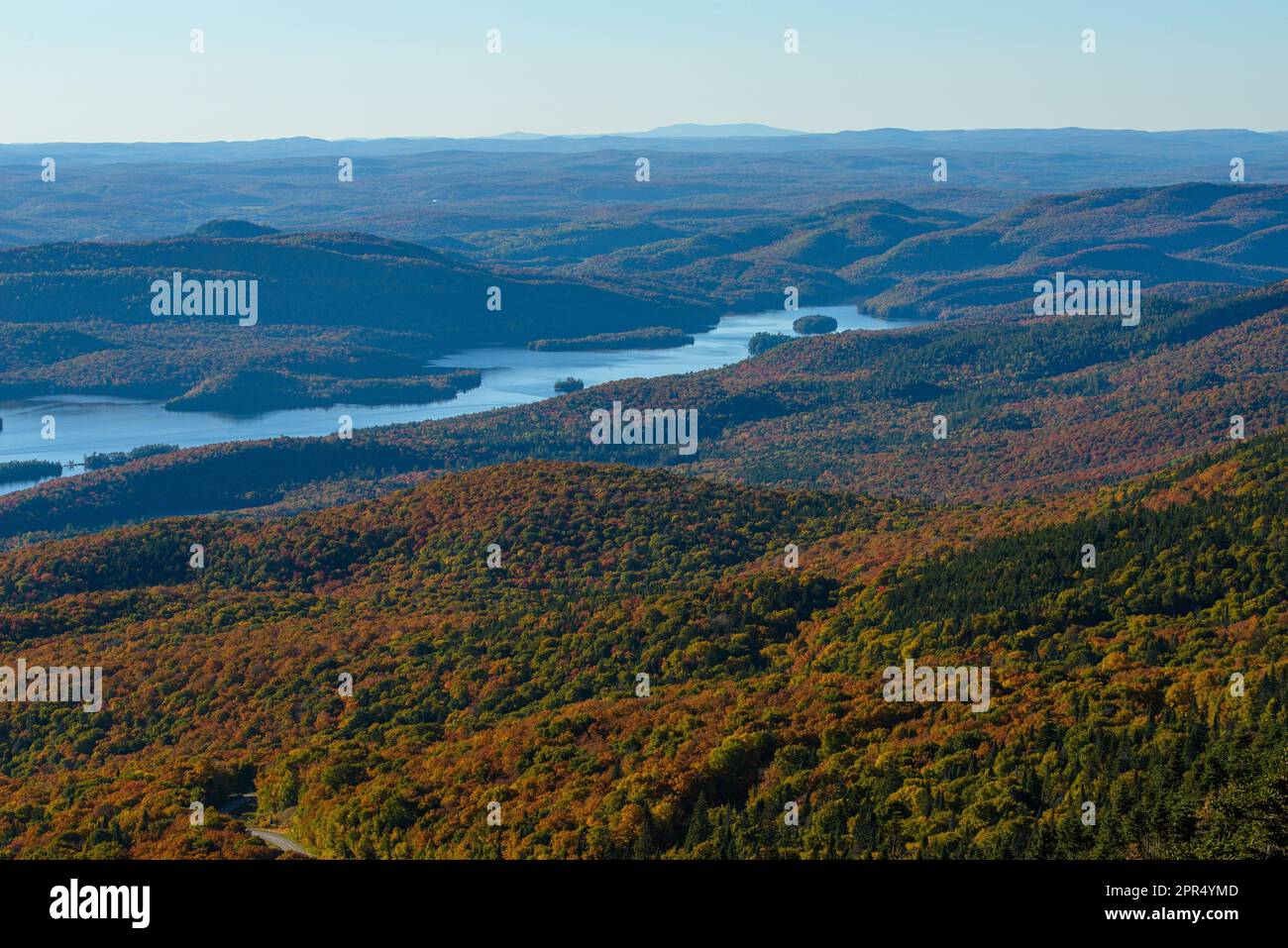 This is a collection of photos showing the beautiful colors of erables ...