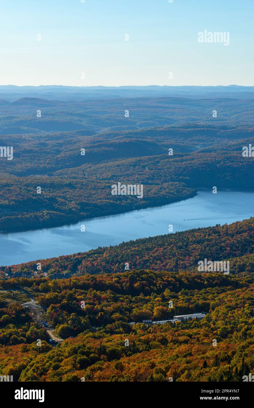 This is a collection of photos showing the beautiful colors of erables ...