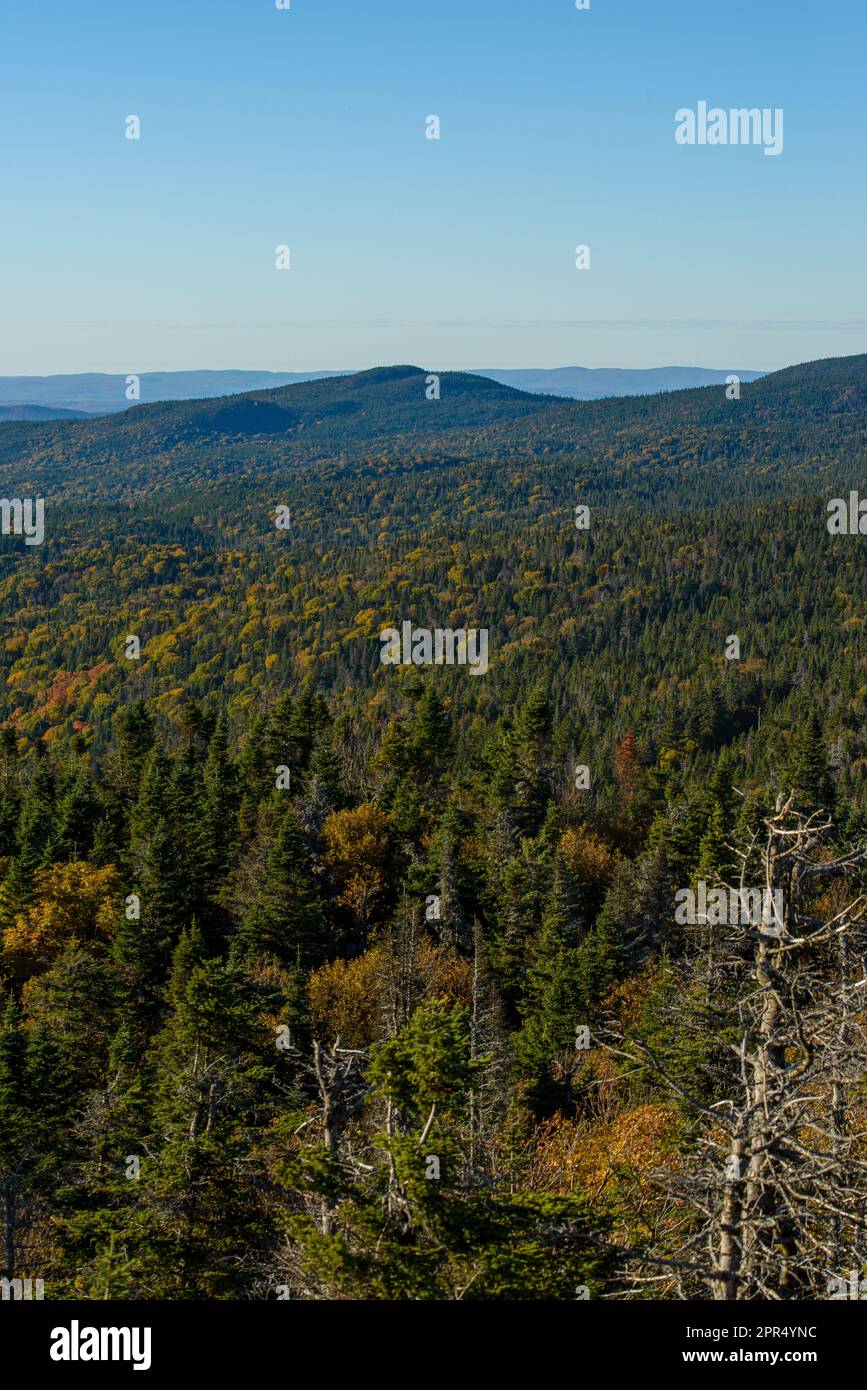 This is a collection of photos showing the beautiful colors of erables ...