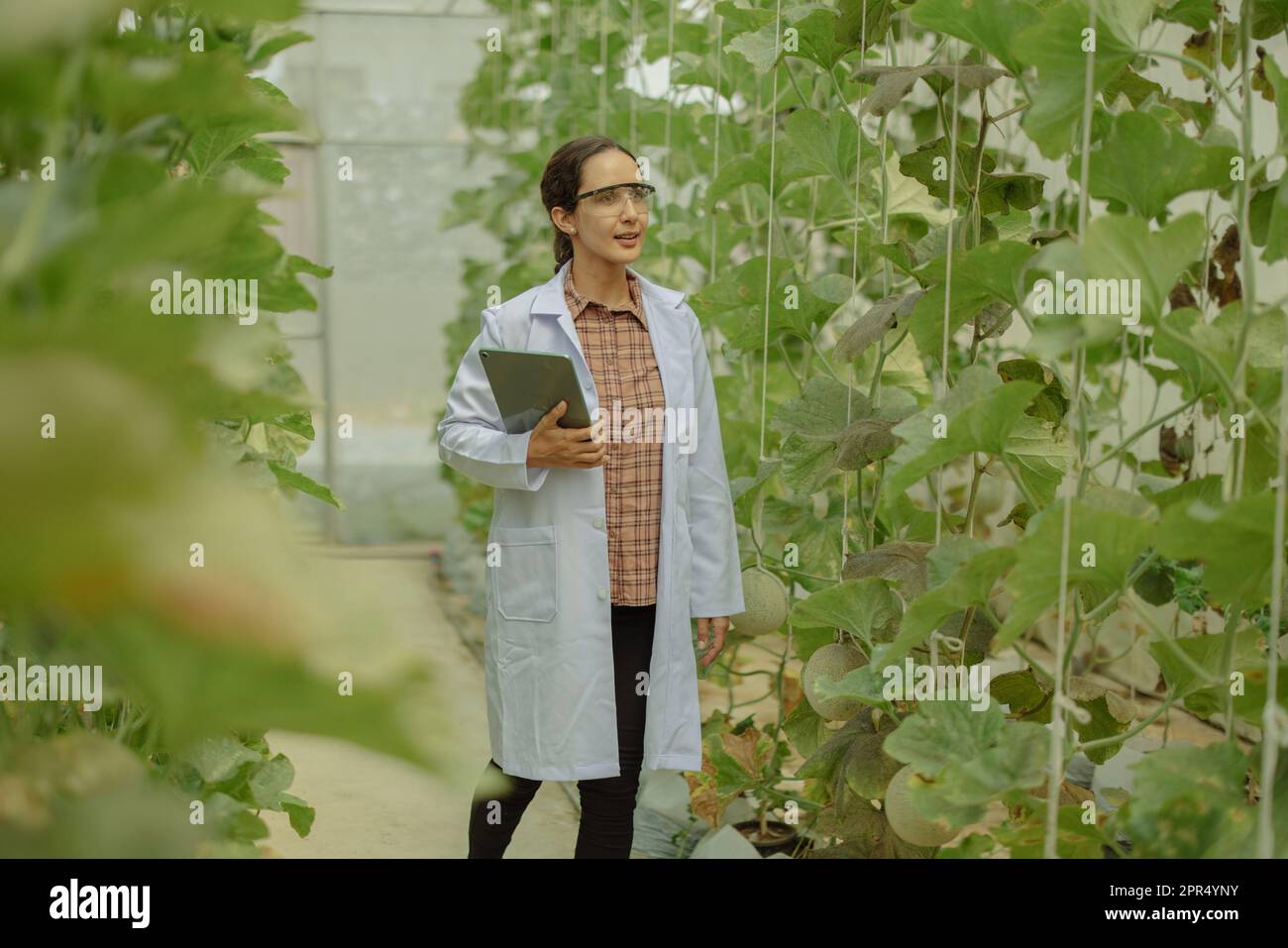 Crop quality assessment hi-res stock photography and images - Alamy