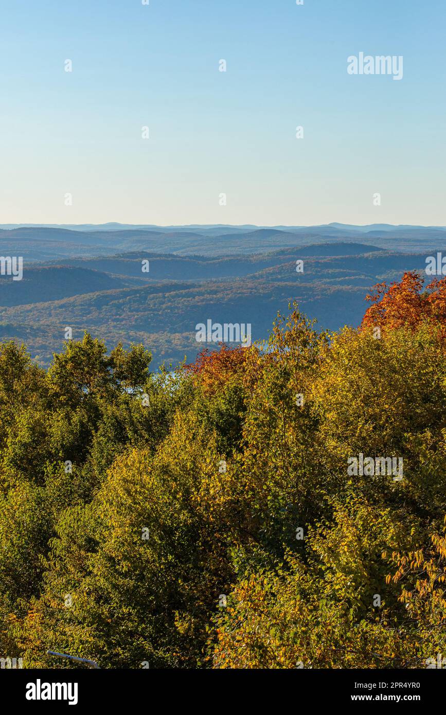 This is a collection of photos showing the beautiful colors of erables ...