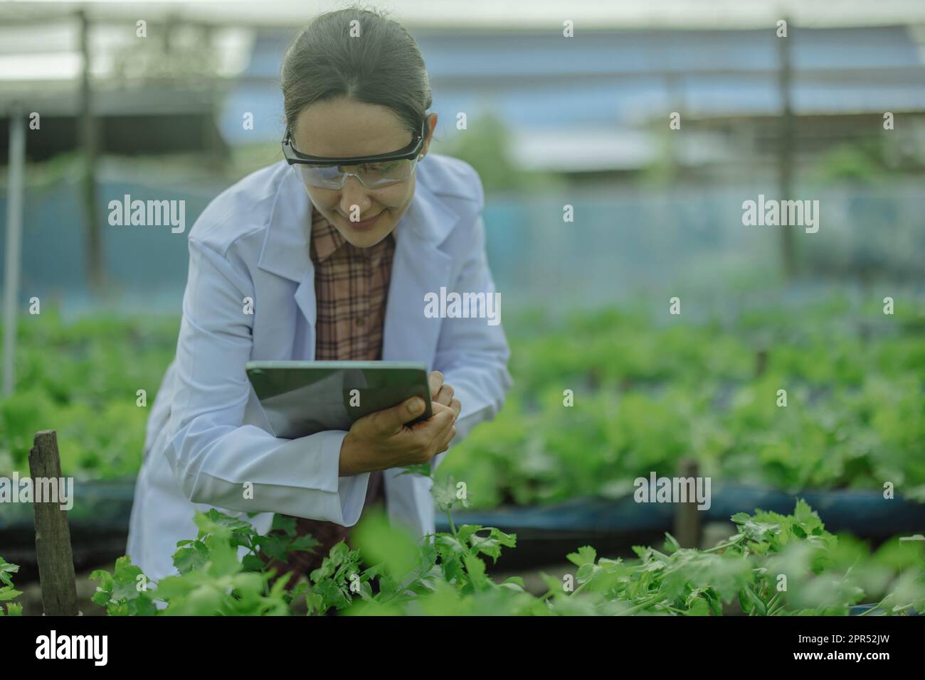 To assess the efficiency of modern greenhouse farming management ...