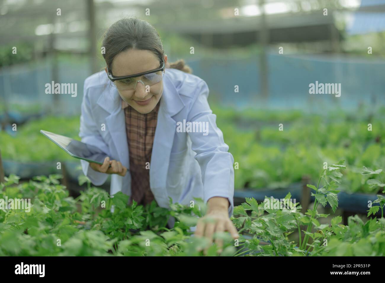 To assess the efficiency of modern greenhouse farming management ...