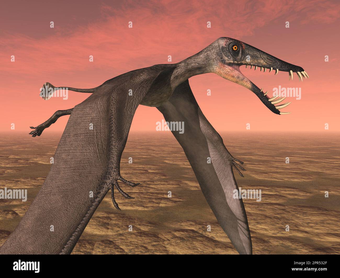 Pterosaur Dorygnathus flying over a landscape Stock Photo - Alamy