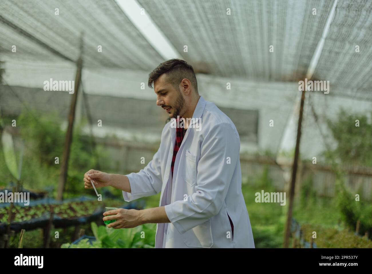 To assess the efficiency of modern greenhouse farming management ...