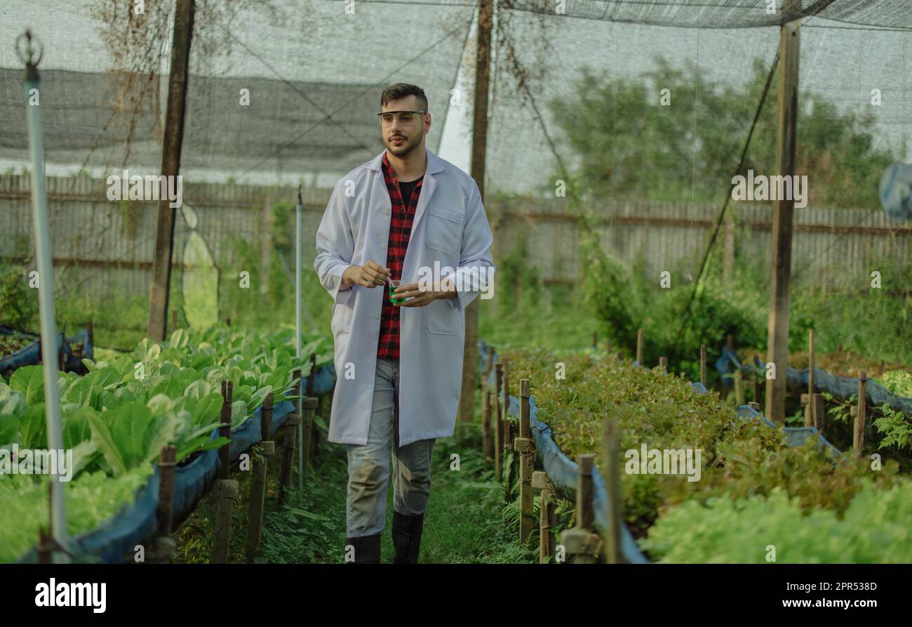 To assess the efficiency of modern greenhouse farming management ...