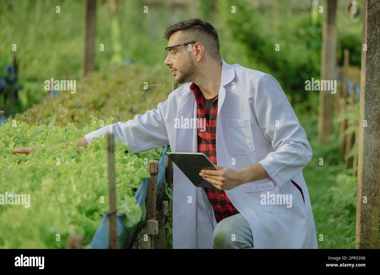 To assess the efficiency of modern greenhouse farming management ...