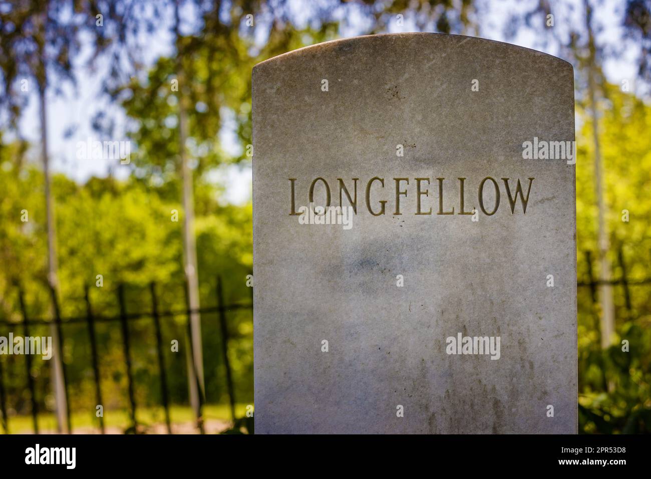 Nancy ward state park hi-res stock photography and images - Alamy